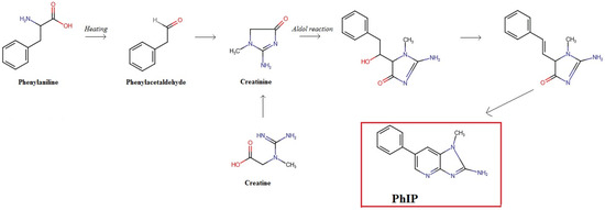 Red Meat Heating Processes, Toxic Compounds Production and Nutritional ...
