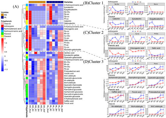 Effects of Phenolic Evolution on Color Characteristics of Single-Cultivar Vitis vinifera L ...