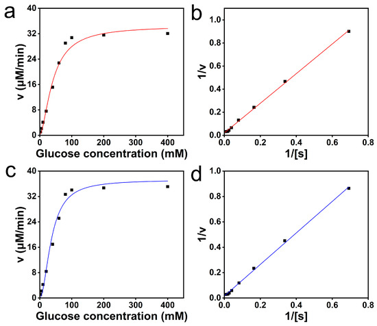 Enhanced High-Fructose Corn Syrup Production: Immobilizing Serratia ...