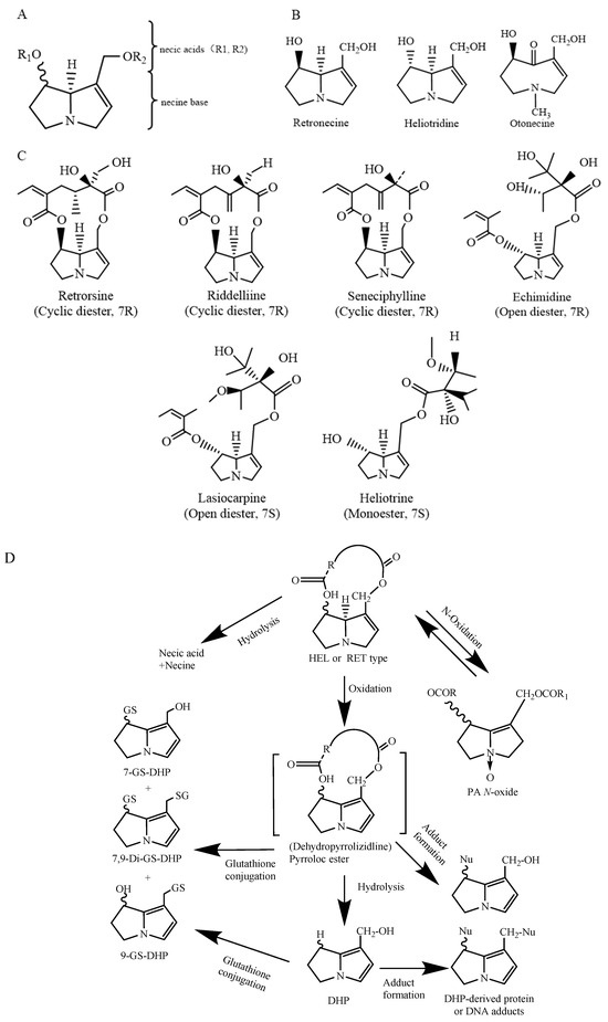 Levels, Toxic Effects, and Risk Assessment of Pyrrolizidine Alkaloids ...