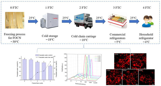 Study on the Quality Variation and Internal Mechanisms of Frozen ...