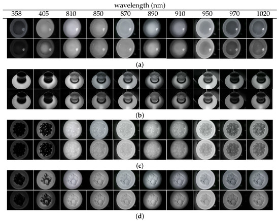 Multi-Spectral Food Classification and Caloric Estimation Using Predicted Images