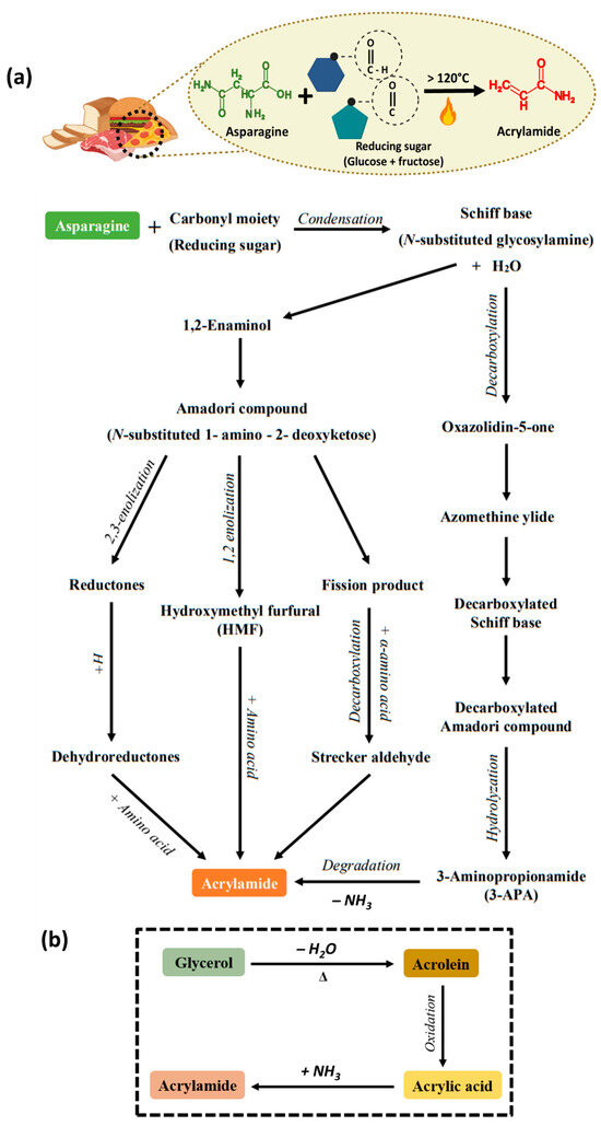 Dietary Acrylamide: A Detailed Review on Formation, Detection ...