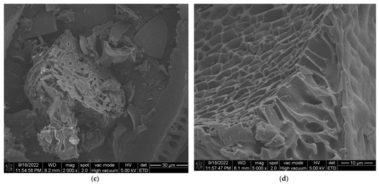 Preparation and Physicochemical Analysis of Camellia sinensis cv ...
