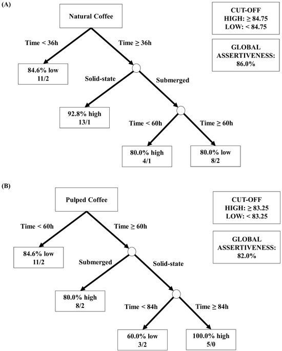 Enhancing Sensory Quality of Coffee: The Impact of Fermentation ...