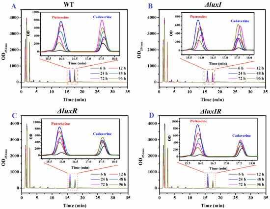 The Phase-Dependent Regulation of Lux-Type Genes on the Spoilage ...