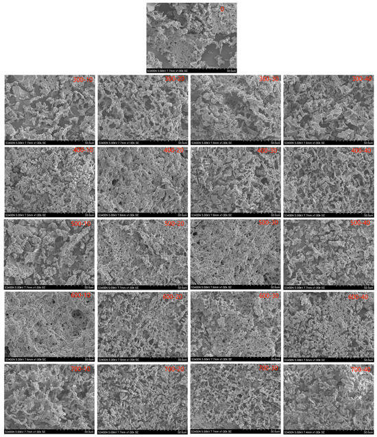 Effect of Ultrasonic Treatment on the Physicochemical Properties of Bovine Plasma Protein ...