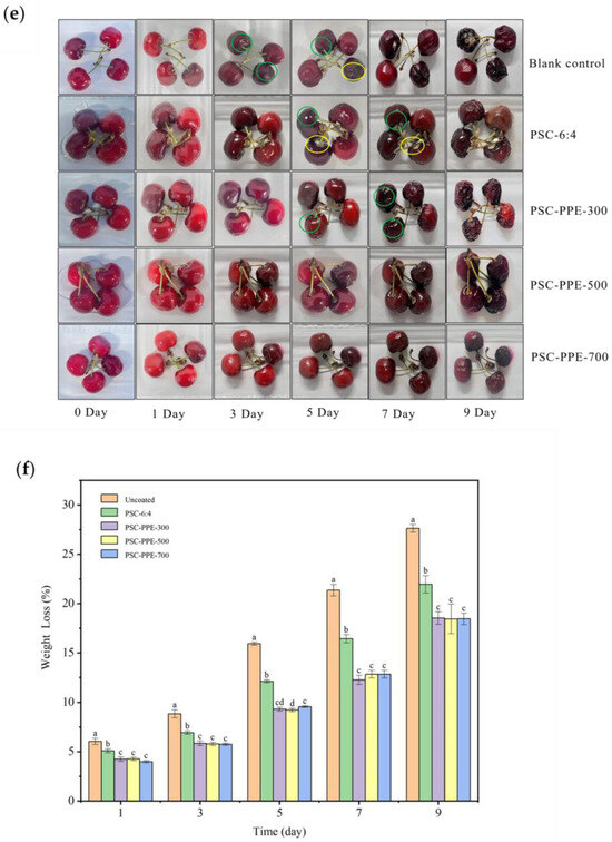 Functional pH-Sensitive Film Containing Purple Sweet Potato ...