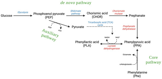 Reuterin, Phenyllactic Acid, and Exopolysaccharides as Main Antifungal ...