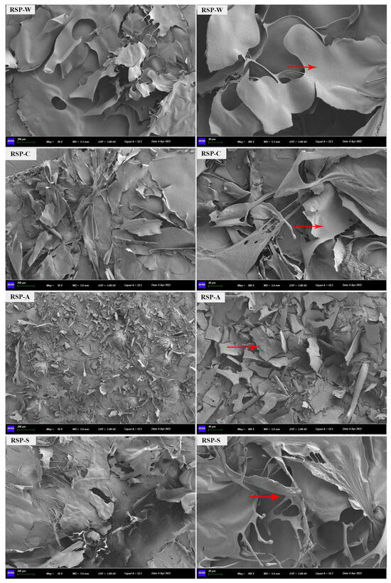 Comparative Study on the Impact of Different Extraction Technologies on Structural ...