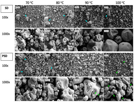 Pulse Spray Drying for Bovine Skimmed Milk Powder Production