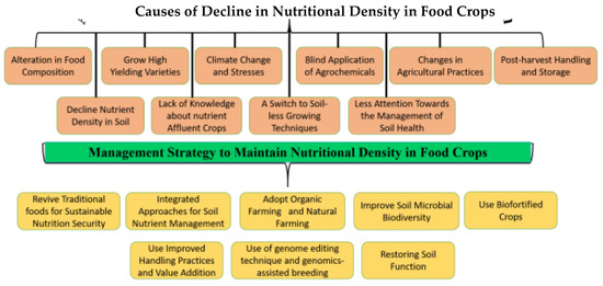 An Alarming Decline in the Nutritional Quality of Foods: The Biggest ...