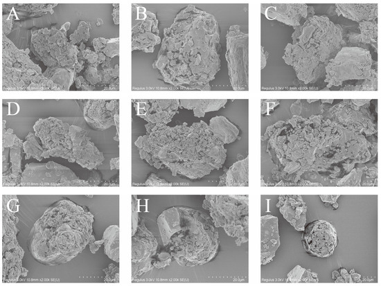Assessing Starch Retrogradation from the Perspective of Particle Order