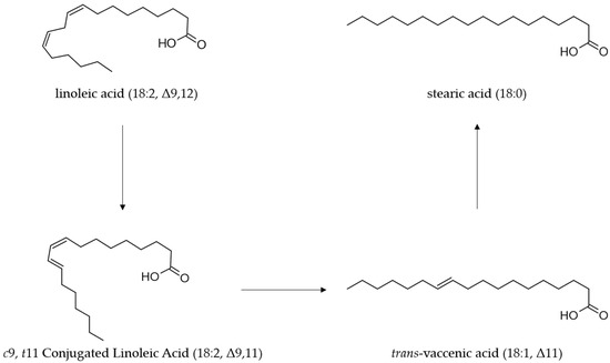 Production of Conjugated Linoleic Acid (CLA) by Lactiplantibacillus ...
