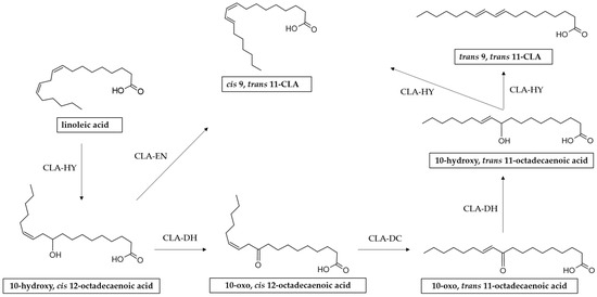 Production of Conjugated Linoleic Acid (CLA) by Lactiplantibacillus ...