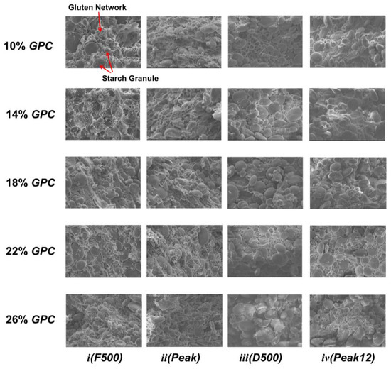 Dynamic Study on Water State and Water Migration during Gluten–Starch ...