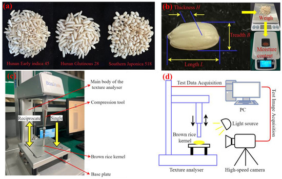 Characteristics of Damage to Brown Rice Kernels under Single and ...