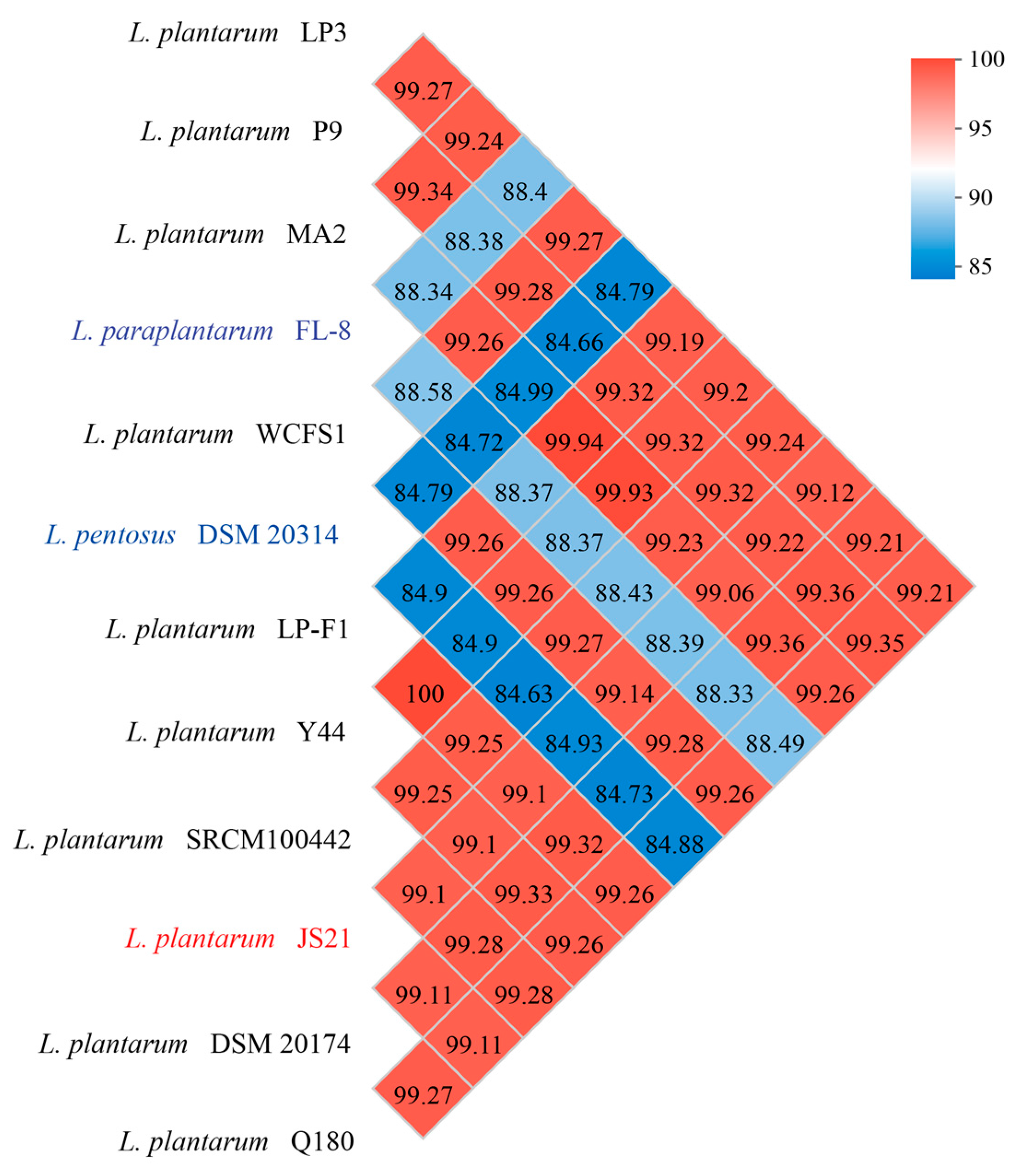 Characterization of Genomic, Physiological, and Probiotic Features of Lactiplantibacillus ...