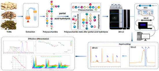 An Analysis of Polysaccharides from Eight Plants by a Novel Heart-Cutting Two-Dimensional Liquid ...