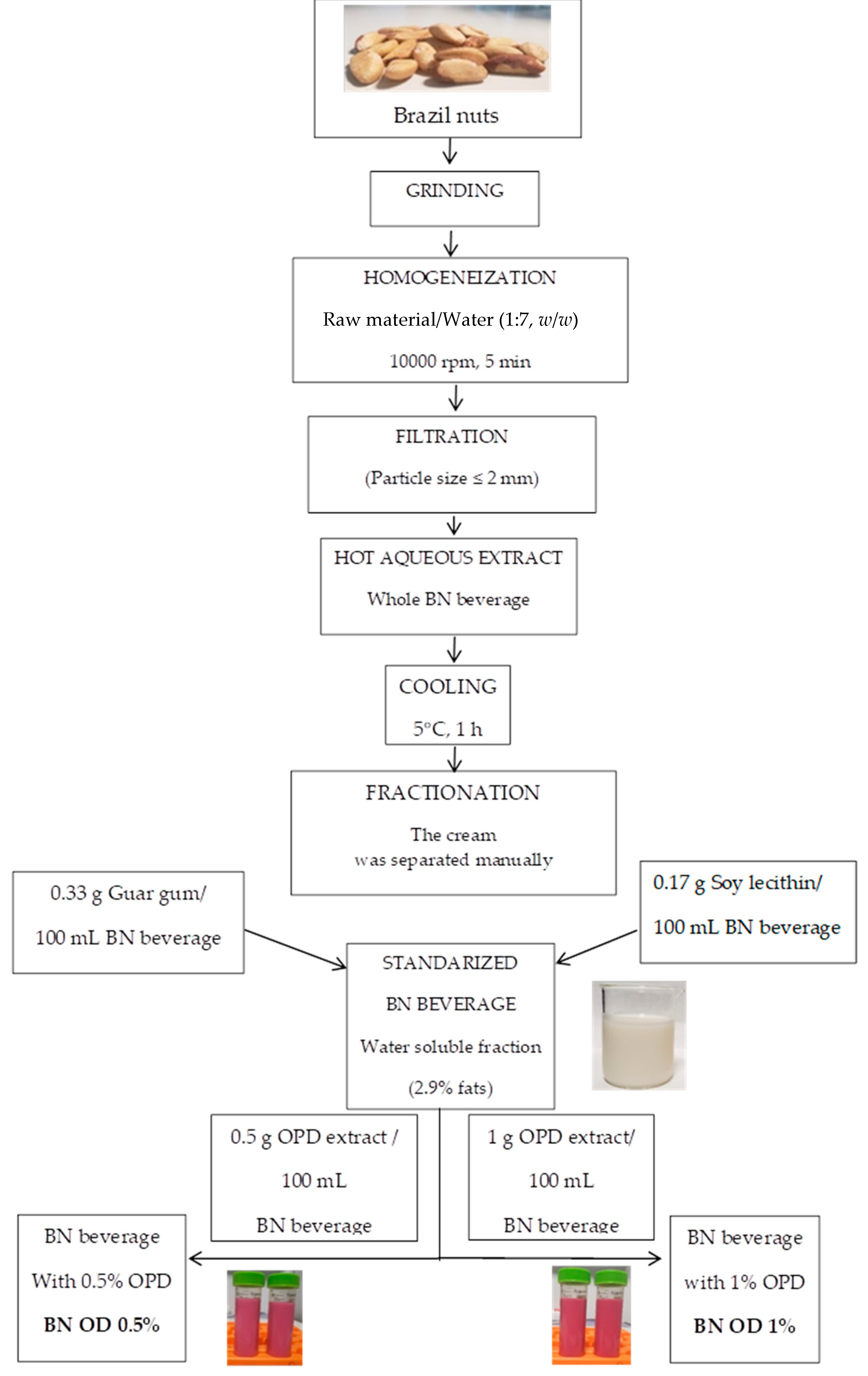 A Healthy Brazil Nut Beverage with Opuntia stricta var. dillenii Green ...