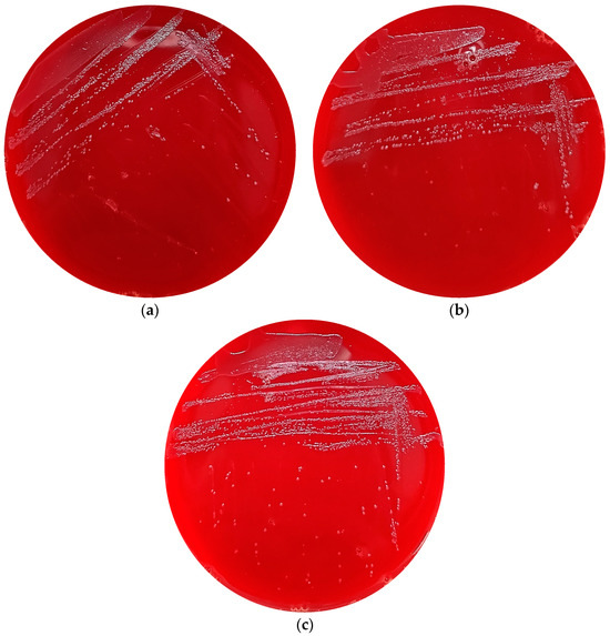 Isolation and Characterisation of Streptococcus spp. with Human Milk ...