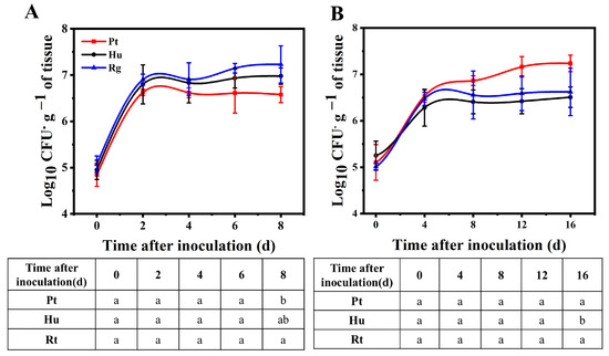 Foods | Free Full-Text | Inhibitory Effect and Potential Antagonistic ...
