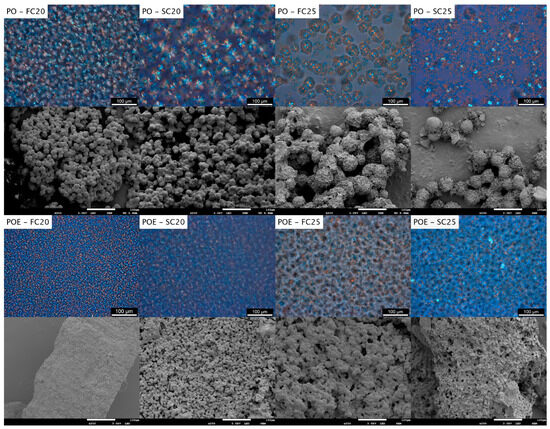 From Nucleation to Fat Crystal Network: Effects of Stearic–Palmitic ...