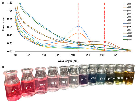 Foods | Free Full-Text | Efficient Anthocyanin Recovery from Black Bean Hulls Using Eutectic ...