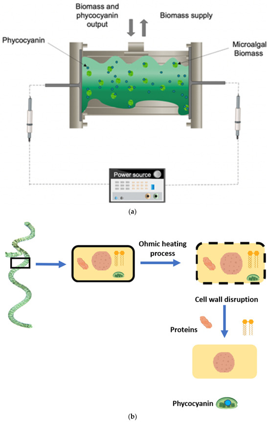 Microalgae Biomass Production from Rice Husk as Alternative Media ...