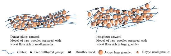 A Review of the Impact of Starch on the Quality of Wheat-Based Noodles ...