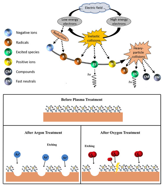 Insights into Cold Plasma Treatment on the Cereal and Legume Proteins ...