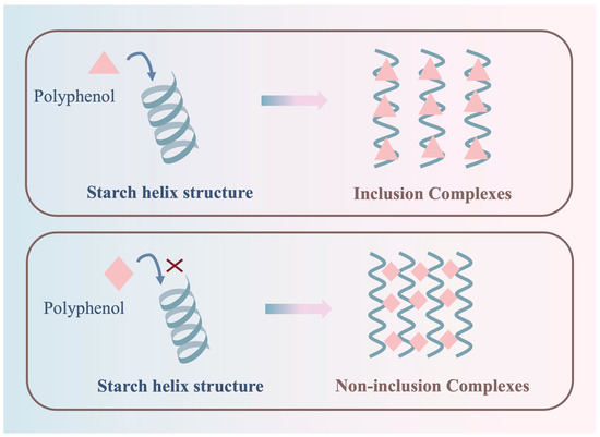 Formation and Application of Starch–Polyphenol Complexes: Influencing ...