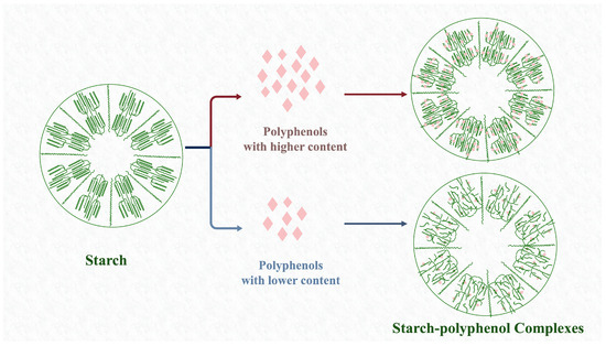Formation and Application of Starch–Polyphenol Complexes: Influencing ...