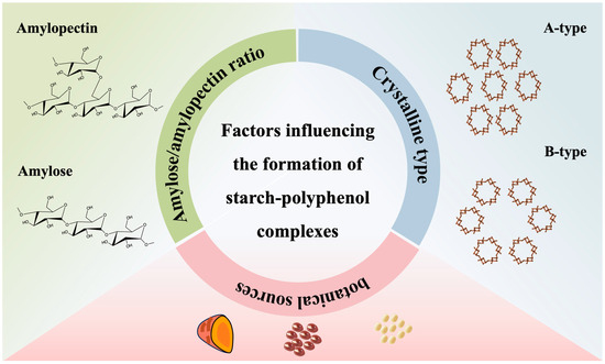 Formation and Application of Starch–Polyphenol Complexes: Influencing Factors and Rapid ...