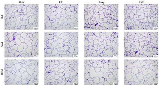 Comparison of Fruit Texture and Storage Quality of Four Apple Varieties