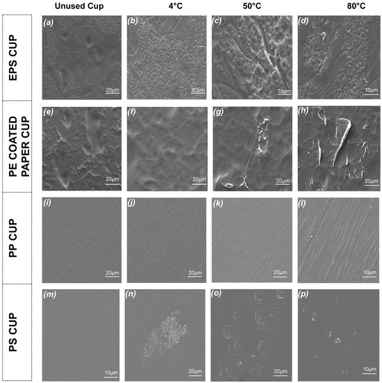 Microplastic Release from Single-Use Plastic Beverage Cups