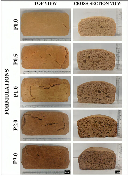 Exploring Chitosan Lactate as a Multifunctional Additive: Enhancing ...