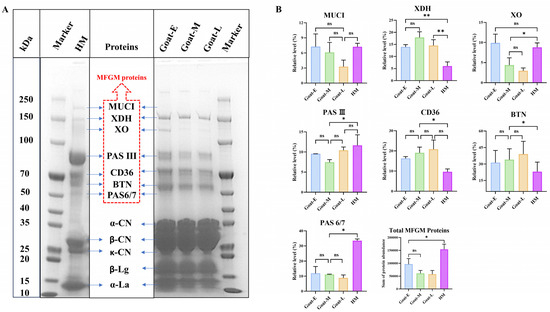Comparison of the Lipid Composition of Milk Fat Globules in Goat (Capra ...