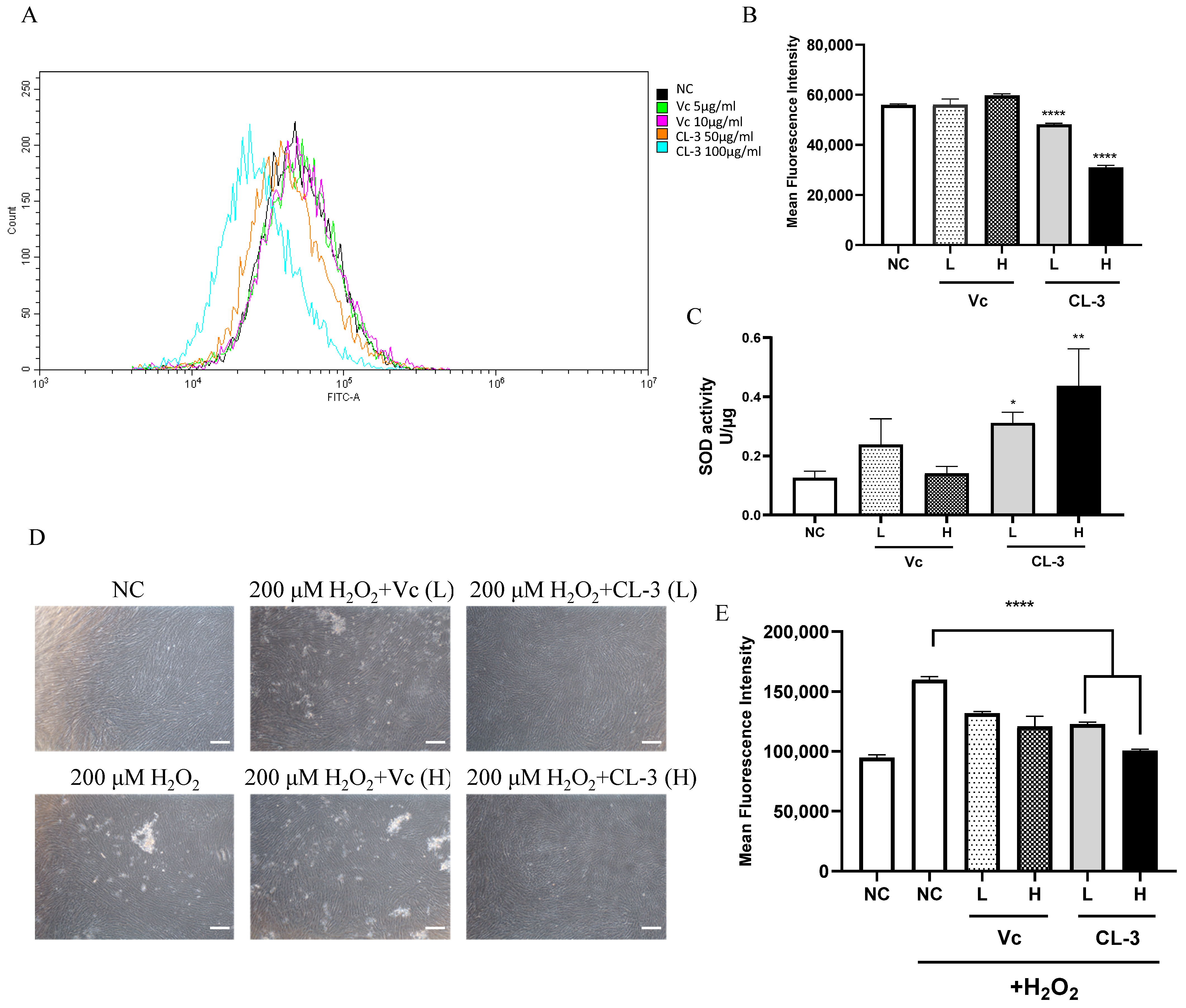 Rosa roxburghii Fruit Extracts Upregulate Telomerase Activity and ...