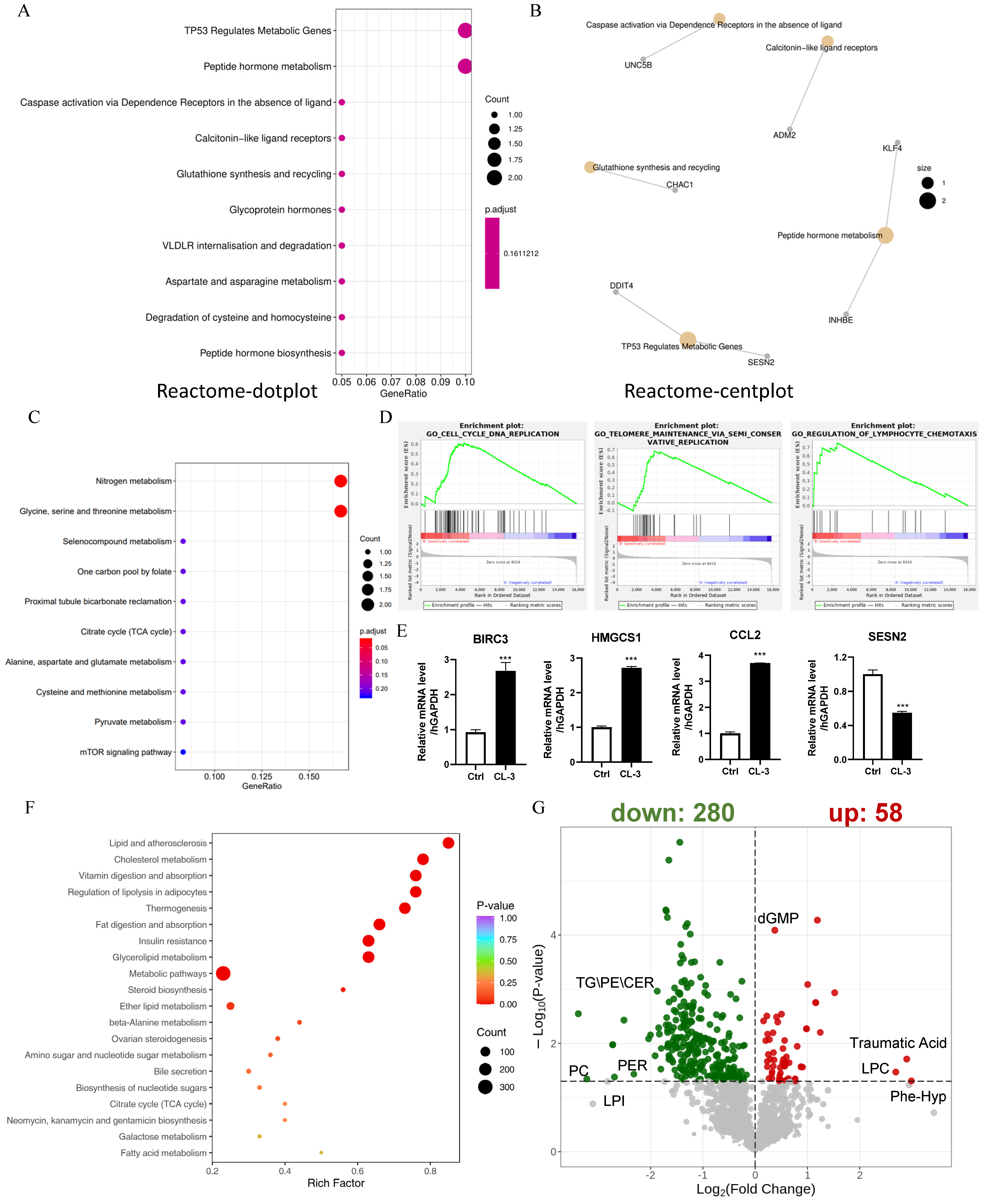 Rosa roxburghii Fruit Extracts Upregulate Telomerase Activity and ...
