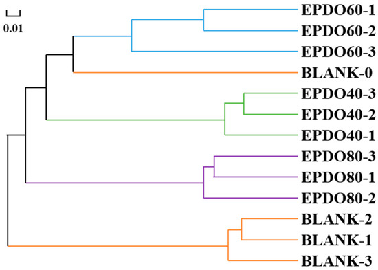 In Vitro Digestion and Fermentation of Different Ethanol-Fractional Polysaccharides from ...