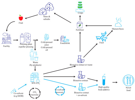 Supercritical Extraction Techniques for Obtaining Biologically Active ...