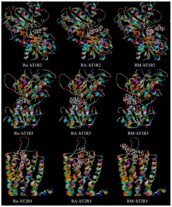 A Computational Approach to Understanding and Predicting the Edulcorant ...