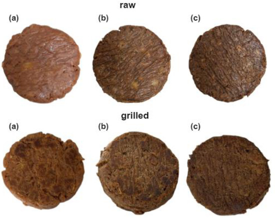 Insect Protein as a Component of Meat Analogue Burger