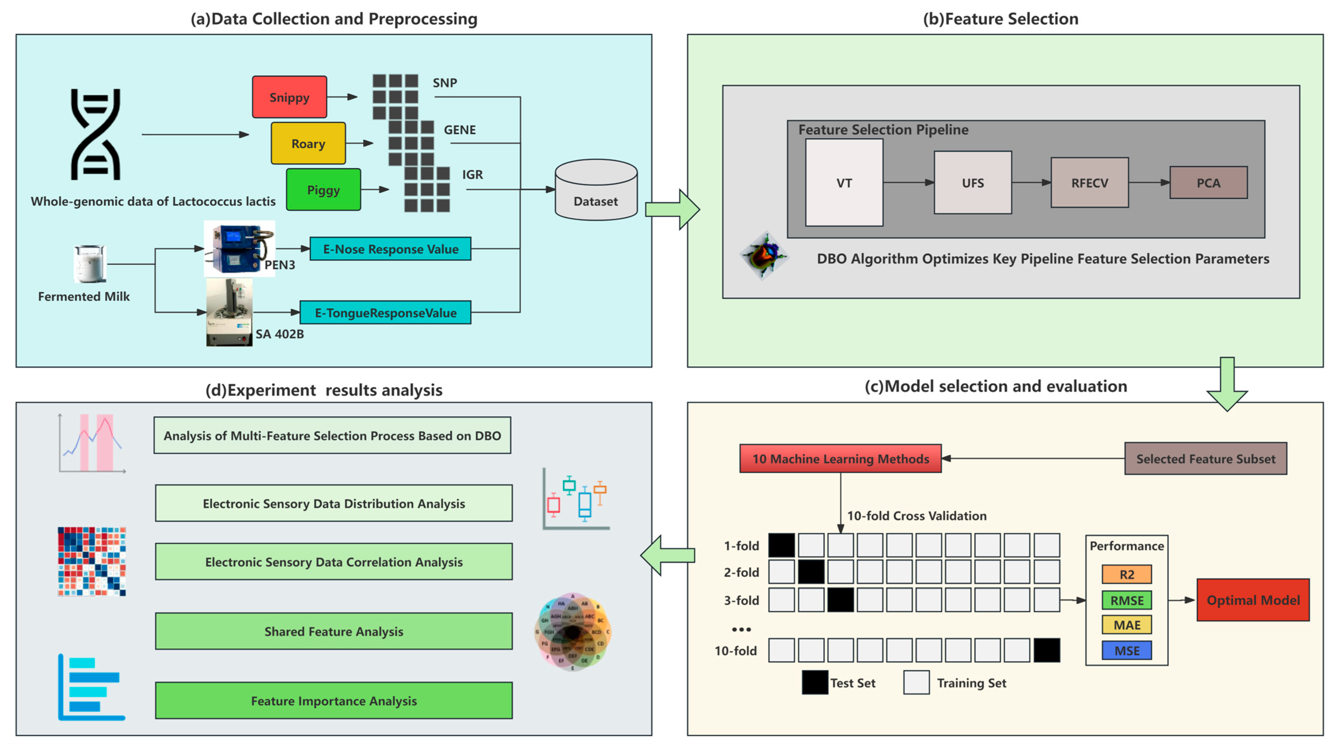 Dung Beetle Optimizer Algorithm and Machine Learning-Based Genome Analysis of Lactococcus lactis ...