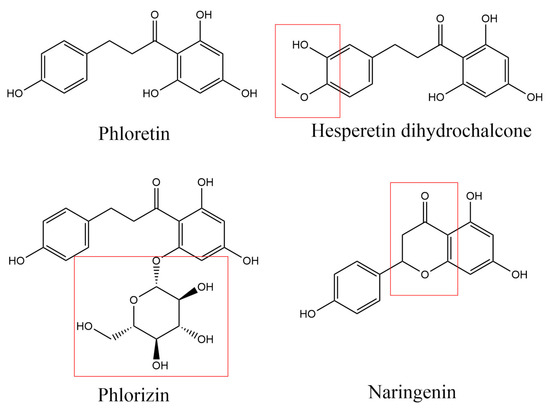 The Anti-Biofilm Properties of Phloretin and Its Analogs against ...