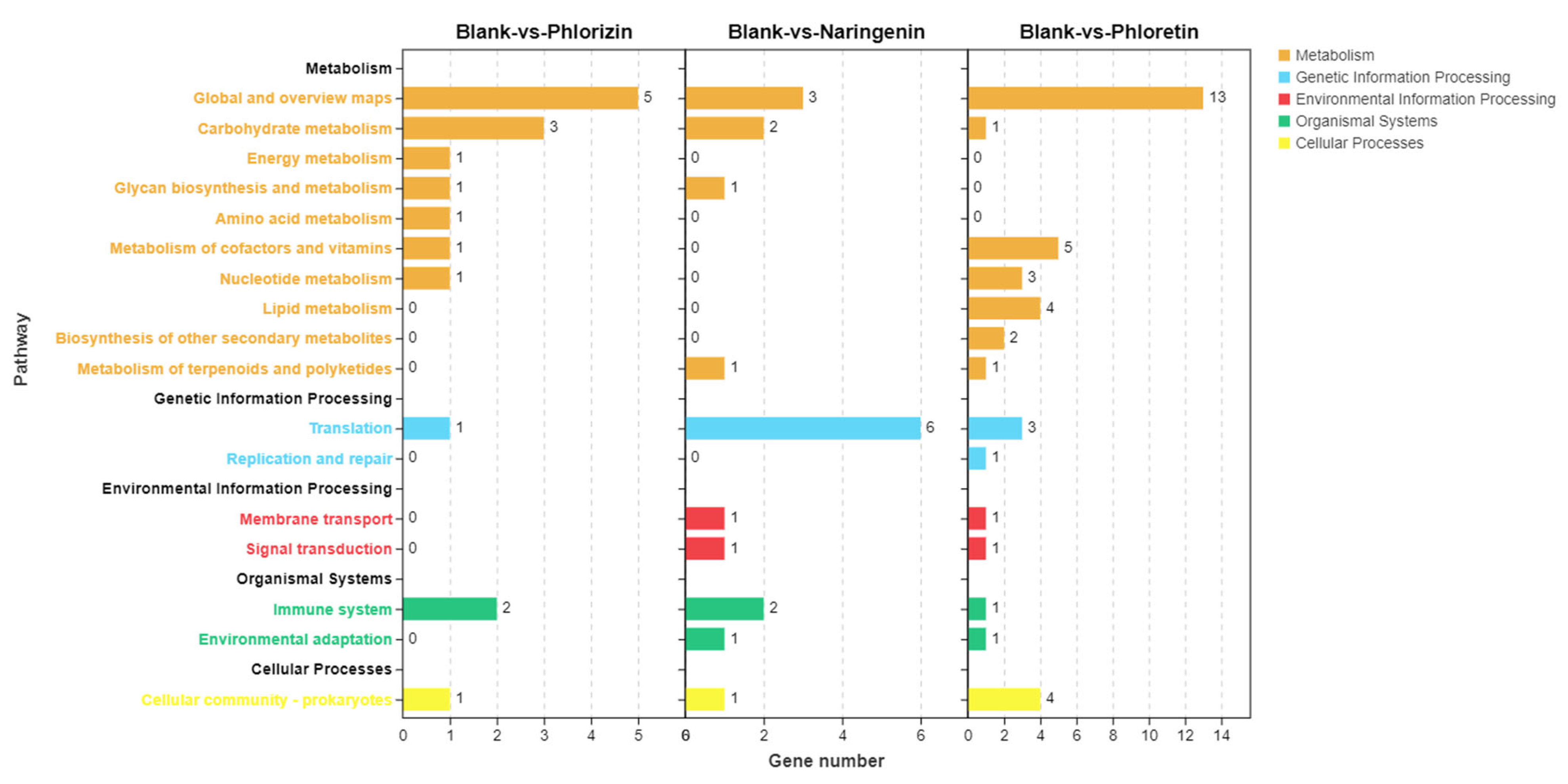 The Anti-Biofilm Properties of Phloretin and Its Analogs against ...