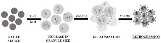 Foods | Free Full-Text | Technological and Nutritional Aspects of Bread ...