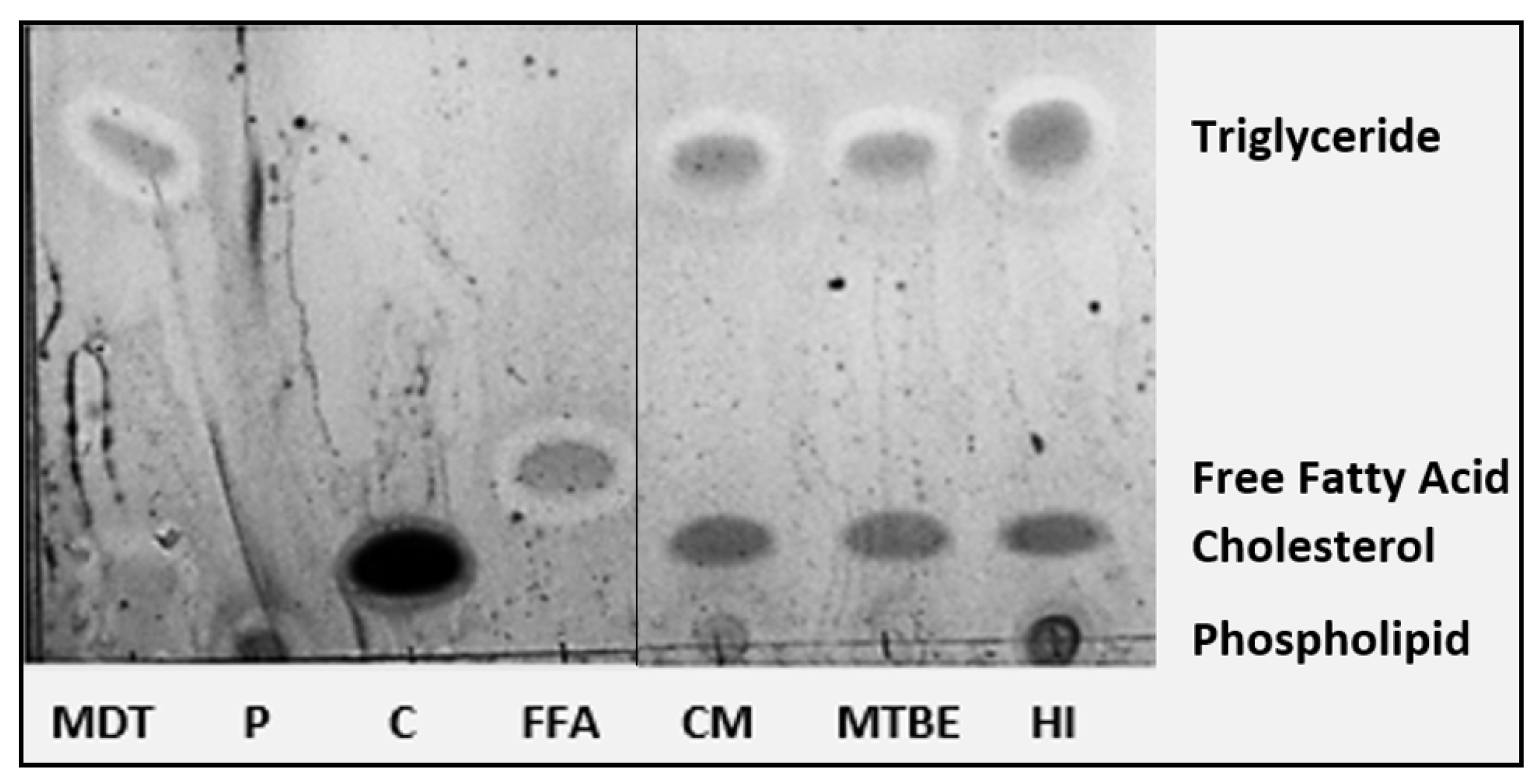Extraction of Lipids and Functional Properties of Defatted Egg Yolk ...