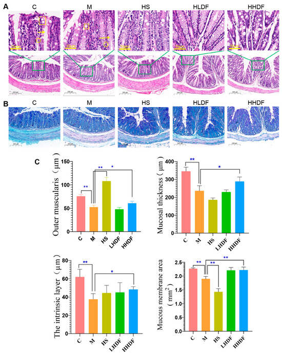 Soluble Dietary Fiber of Hawthorn Relieves Constipation Induced by ...